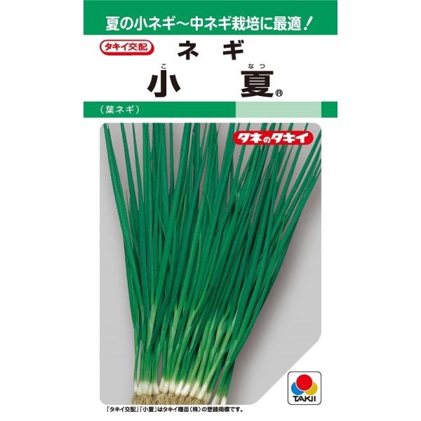 注）こちらの商品は野菜の種子です。注)流動在庫につき、メーカー在庫キレ等によりご注文を キャンセルまた多少お時間頂く場合がございますので誠に恐れ入りますが、あらかじめご了承頂きますようよろしくお願い致します。注）まき時期をご確認の上、ご注文...