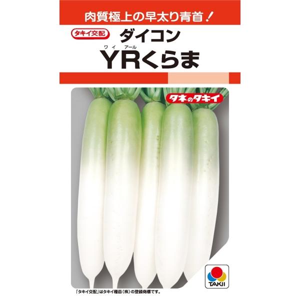 注）こちらの商品は野菜の種子です。注)流動在庫につき、メーカー在庫キレ等によりご注文を キャンセルまた多少お時間頂く場合がございますので誠に恐れ入りますが、あらかじめご了承頂きますようよろしくお願い致します。注）まき時期をご確認の上、ご注文...