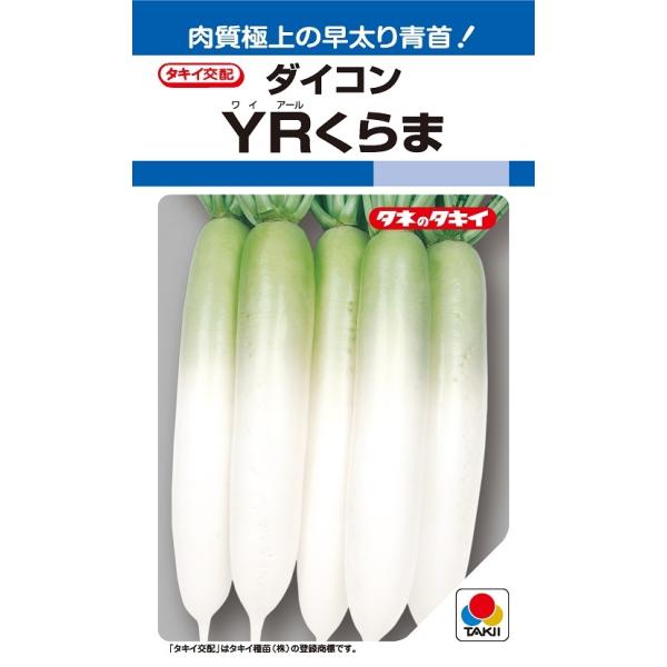 注）こちらの商品は野菜の種子です。注)流動在庫につき、メーカー在庫キレ等によりご注文を キャンセルまた多少お時間頂く場合がございますので誠に恐れ入りますが、あらかじめご了承頂きますようよろしくお願い致します。注）まき時期をご確認の上、ご注文...