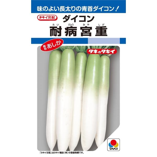 注）こちらの商品は野菜の種子です。注)流動在庫につき、メーカー在庫キレ等によりご注文を キャンセルまた多少お時間頂く場合がございますので誠に恐れ入りますが、あらかじめご了承頂きますようよろしくお願い致します。注）まき時期をご確認の上、ご注文...