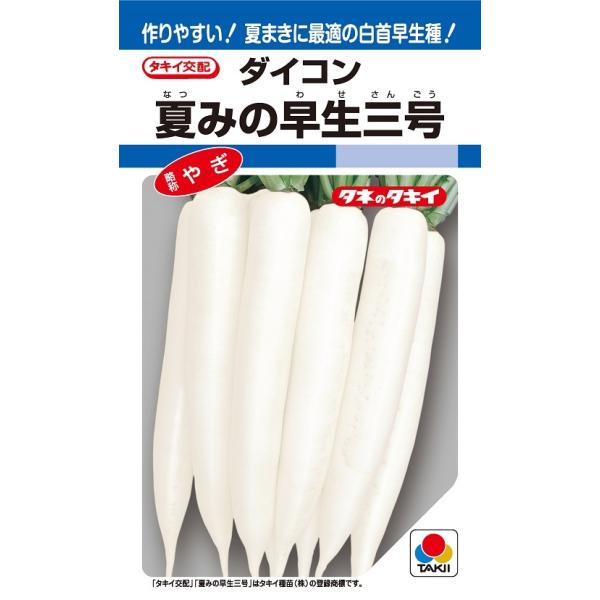 注）こちらの商品は野菜の種子です。注)流動在庫につき、メーカー在庫キレ等によりご注文を キャンセルまた多少お時間頂く場合がございますので誠に恐れ入りますが、あらかじめご了承頂きますようよろしくお願い致します。注）まき時期をご確認の上、ご注文...