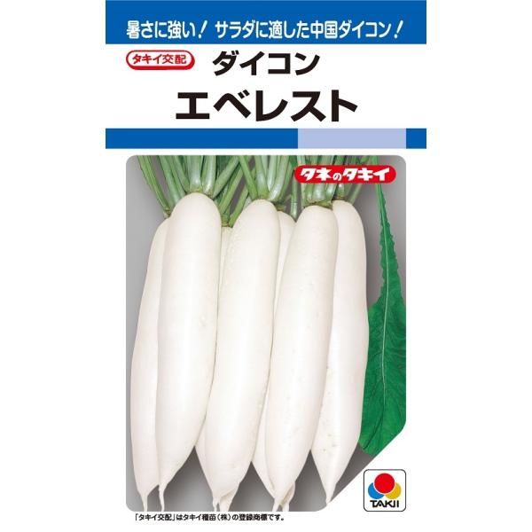 注）こちらの商品は野菜の種子です。注)流動在庫につき、メーカー在庫キレ等によりご注文を キャンセルまた多少お時間頂く場合がございますので誠に恐れ入りますが、あらかじめご了承頂きますようよろしくお願い致します。注）まき時期をご確認の上、ご注文...
