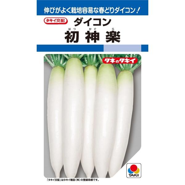 注）こちらの商品は野菜の種子です。注)流動在庫につき、メーカー在庫キレ等によりご注文を キャンセルまた多少お時間頂く場合がございますので誠に恐れ入りますが、あらかじめご了承頂きますようよろしくお願い致します。注）まき時期をご確認の上、ご注文...