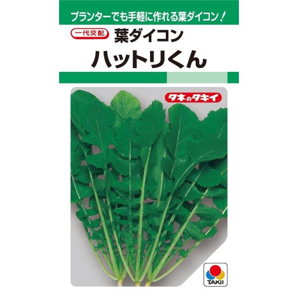 注）こちらの商品は野菜の種子です。注)流動在庫につき、メーカー在庫キレ等によりご注文を キャンセルまた多少お時間頂く場合がございますので誠に恐れ入りますが、あらかじめご了承頂きますようよろしくお願い致します。注）まき時期をご確認の上、ご注文...