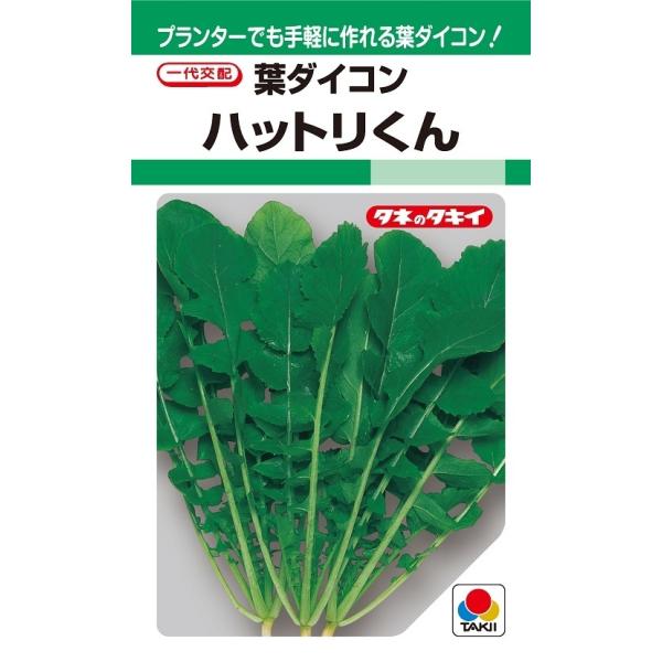 注）こちらの商品は野菜の種子です。注)流動在庫につき、メーカー在庫キレ等によりご注文を キャンセルまた多少お時間頂く場合がございますので誠に恐れ入りますが、あらかじめご了承頂きますようよろしくお願い致します。注）まき時期をご確認の上、ご注文...