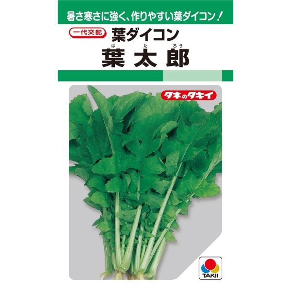 注）こちらの商品は野菜の種子です。注)流動在庫につき、メーカー在庫キレ等によりご注文を キャンセルまた多少お時間頂く場合がございますので誠に恐れ入りますが、あらかじめご了承頂きますようよろしくお願い致します。注）まき時期をご確認の上、ご注文...