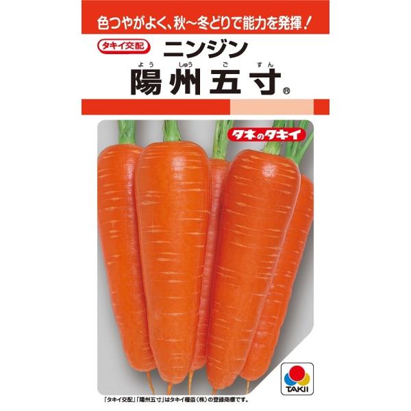 注）こちらの商品は野菜の種子です。注)流動在庫につき、メーカー在庫キレ等によりご注文を キャンセルまた多少お時間頂く場合がございますので誠に恐れ入りますが、あらかじめご了承頂きますようよろしくお願い致します。注）まき時期をご確認の上、ご注文...