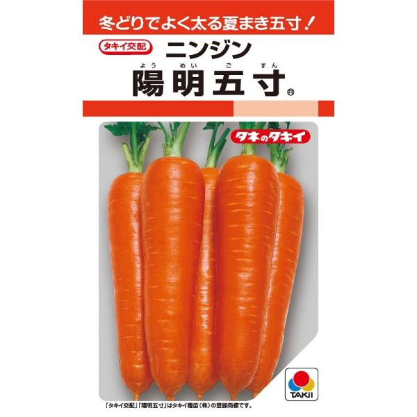 注）こちらの商品は野菜の種子です。注)流動在庫につき、メーカー在庫キレ等によりご注文を キャンセルまた多少お時間頂く場合がございますので誠に恐れ入りますが、あらかじめご了承頂きますようよろしくお願い致します。注）まき時期をご確認の上、ご注文...