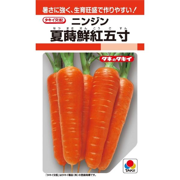 注）こちらの商品は野菜の種子です。注)流動在庫につき、メーカー在庫キレ等によりご注文を キャンセルまた多少お時間頂く場合がございますので誠に恐れ入りますが、あらかじめご了承頂きますようよろしくお願い致します。注）まき時期をご確認の上、ご注文...