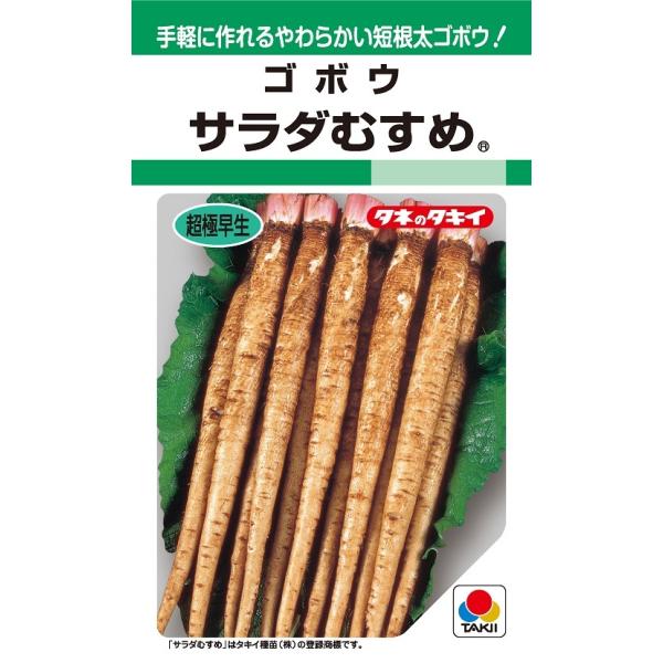 注）こちらの商品は野菜の種子です。注)流動在庫につき、メーカー在庫キレ等によりご注文を キャンセルまた多少お時間頂く場合がございますので誠に恐れ入りますが、あらかじめご了承頂きますようよろしくお願い致します。注）まき時期をご確認の上、ご注文...