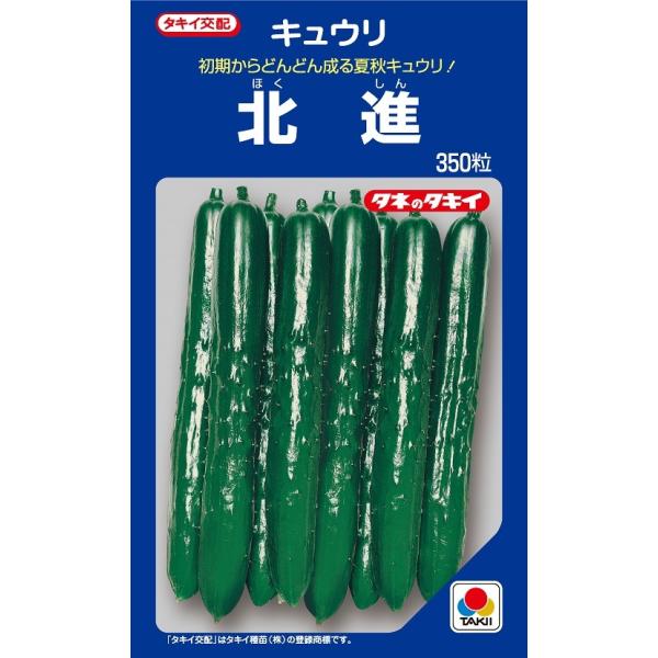 注）こちらの商品は野菜の種子です。注)流動在庫につき、メーカー在庫キレ等によりご注文を キャンセルまた多少お時間頂く場合がございますので誠に恐れ入りますが、あらかじめご了承頂きますようよろしくお願い致します。注）まき時期をご確認の上、ご注文...