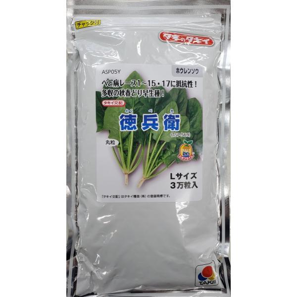 注）こちらの商品は野菜の種子です。注)流動在庫につき、メーカー在庫キレ等によりご注文をキャンセルまた多少お時間頂く場合がございますので誠に恐れ入りますが、あらかじめご了承頂きますようよろしくお願い致します。注）まき時期をご確認の上、ご注文を...