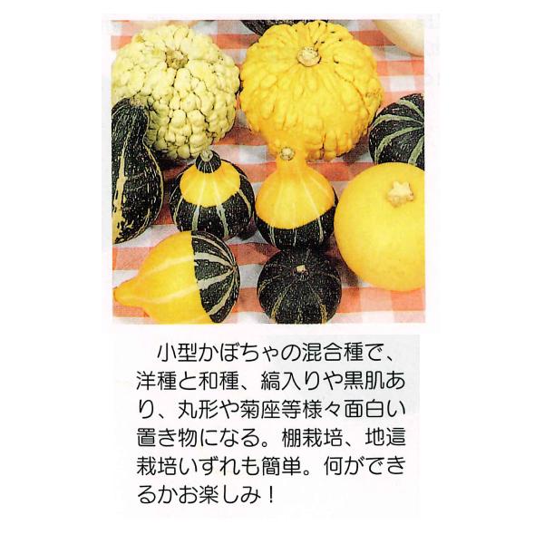 注）こちらの商品は観賞用の種子です。注)流動在庫につき、メーカー在庫キレ等によりご注文を キャンセルまた多少お時間頂く場合がございますので誠に恐れ入りますが、あらかじめご了承頂きますようよろしくお願い致します。注）まき時期をご確認の上、ご注...