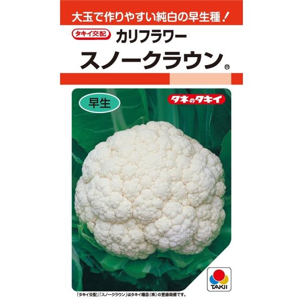 注）こちらの商品は野菜の種子です。注)店舗在庫キレ、メーカー在庫キレ等によりご注文を キャンセルまた多少お時間頂く場合がございますので誠に恐れ入りますが、あらかじめご了承頂きますようよろしくお願い致します。注）まき時期をご確認の上、ご注文を...
