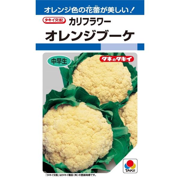 注）こちらの商品は野菜の種子です。注)店舗在庫キレ、メーカー在庫キレ等によりご注文を キャンセルまた多少お時間頂く場合がございますので誠に恐れ入りますが、あらかじめご了承頂きますようよろしくお願い致します。注）まき時期をご確認の上、ご注文を...