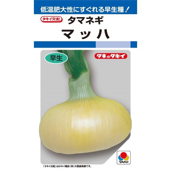 注）こちらの商品は野菜の種子です。注)店舗在庫キレ、メーカー在庫キレ等によりご注文を キャンセルまた多少お時間頂く場合がございますので誠に恐れ入りますが、あらかじめご了承頂きますようよろしくお願い致します。注）まき時期をご確認の上、ご注文を...