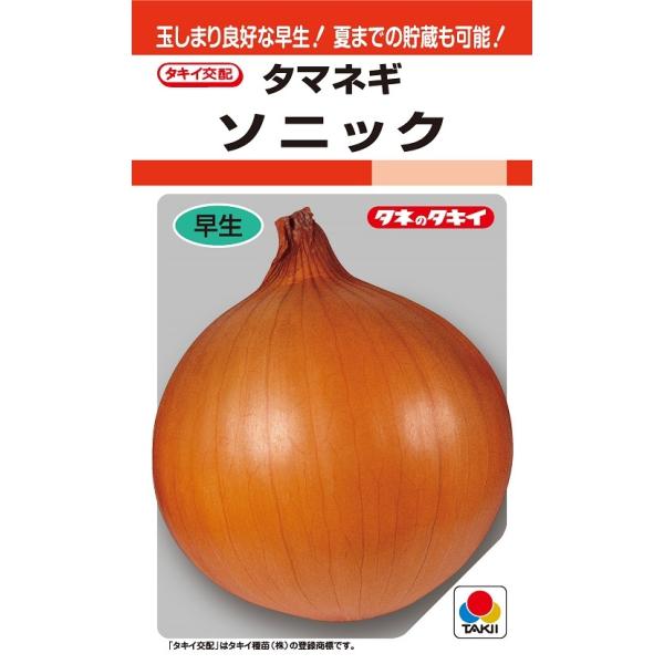 注）こちらの商品は野菜の種子です。注)店舗在庫キレ、メーカー在庫キレ等によりご注文を キャンセルまた多少お時間頂く場合がございますので誠に恐れ入りますが、あらかじめご了承頂きますようよろしくお願い致します。注）まき時期をご確認の上、ご注文を...