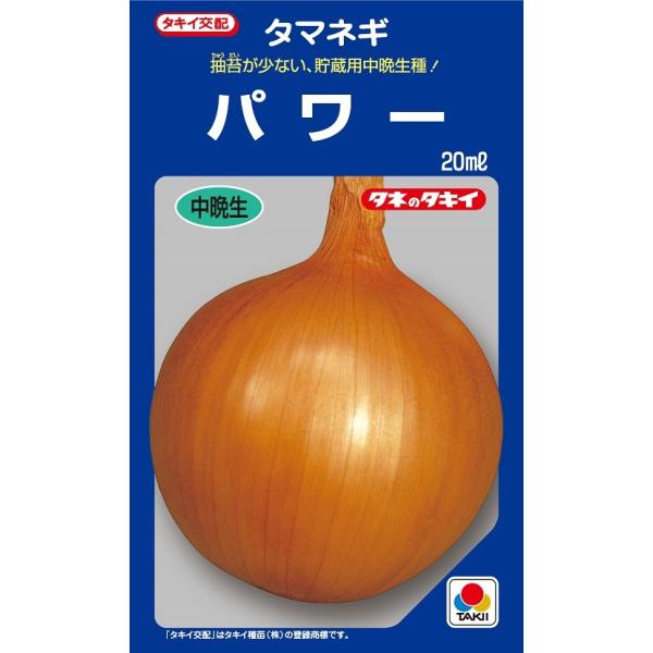 注）こちらの商品は野菜の種子です。注)店舗在庫キレ、メーカー在庫キレ等によりご注文を キャンセルまた多少お時間頂く場合がございますので誠に恐れ入りますが、あらかじめご了承頂きますようよろしくお願い致します。注）まき時期をご確認の上、ご注文を...