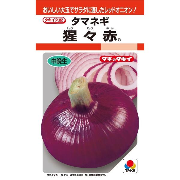 注）こちらの商品は野菜の種子です。注)店舗在庫キレ、メーカー在庫キレ等によりご注文を キャンセルまた多少お時間頂く場合がございますので誠に恐れ入りますが、あらかじめご了承頂きますようよろしくお願い致します。注）まき時期をご確認の上、ご注文を...