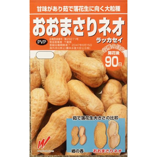 注）こちらの商品は野菜の種子です。注)メーカー在庫キレ、新種待ち等によりご注文を キャンセルまた多少お時間頂く場合がございますので誠に恐れ入りますが、あらかじめご了承頂きますようよろしくお願い致します。注）まき時期をご確認の上、ご注文をお願...