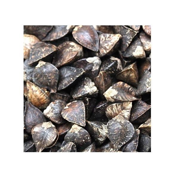 注)店舗在庫キレ、メーカー在庫キレ等により注文を キャンセルさして頂く場合がございますのであらかじめご了承ください。注）まき時をご確認の上、ご注文をお願い致します。キタワセソバ　1ｋｇ　播種期：4〜5月8月下旬〜9月特徴北海道農業試験場育成...