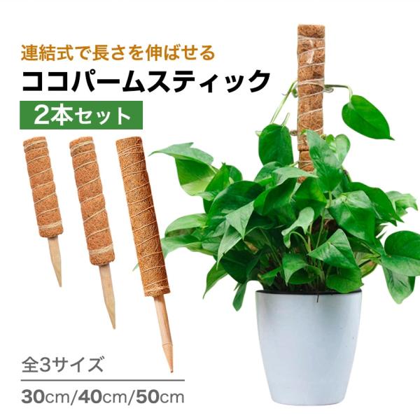 ココパームスティック 2本セット 植物 支柱 おしゃれ ココ スティック 50cm 40cm 30cm モンステラ 観葉植物 植物支柱 ガーデン 園芸用 園芸支柱パーツ 高さ調整可能 連結 延長 木製 ココナッツ支柱 支え 観葉支柱 調整可...