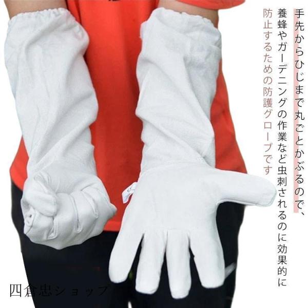 全長48cm