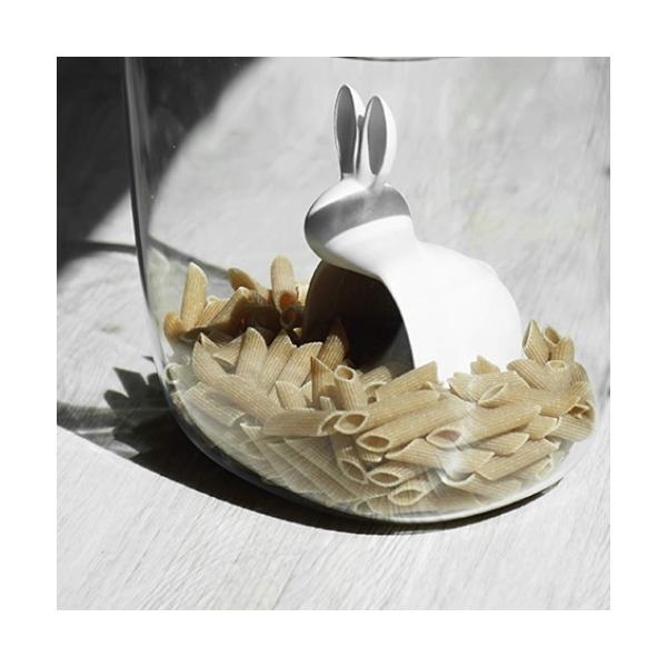 「”BELLA BUNNY(ベラバニー)”長い耳で可愛い癒し系ペットのうさぎ。干支や神話や昔話に登場したり、子供向けのキャラクターや絵本にもよく使われる動物ですが、実は縁起物として扱われているって知っていましたか？大変縁起がよく幸せを呼ぶと...