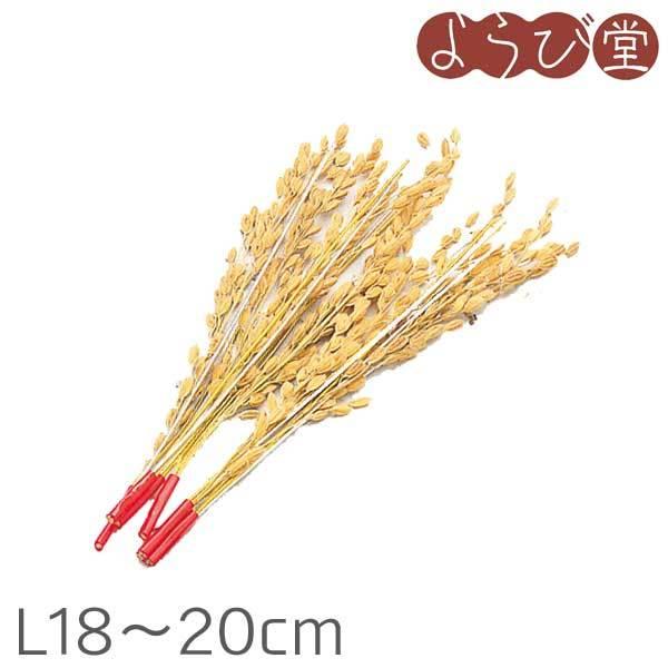 商品の稲穂はもみに包まれた状態で白くはありません。熱した油で揚げると白く弾けさせることができます。●サイズ：約長さ18〜20cm●入数：100本［キーワード］正月飾り、お祝い、稲穂飾り、用美、ヤマコー