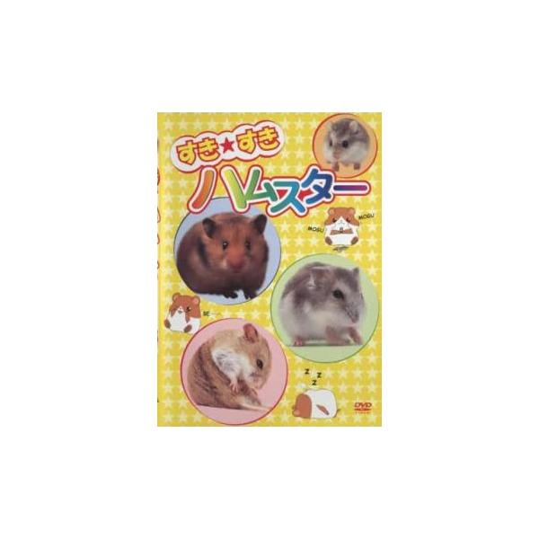 【バーゲン】 (ジャンル) 趣味、実用 動物 (入荷日) 2025-06-28
