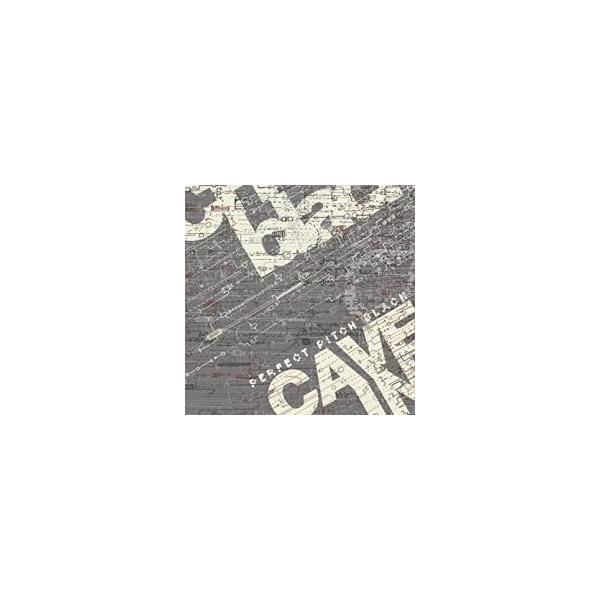 【バーゲン】 (出演) Ｃａｖｅ Ｉｎ (ジャンル) CD、音楽 洋楽 ロック・ポップス (入荷日) 2025-01-27
