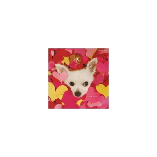 【バーゲン】 (ジャンル) CD、音楽 邦楽 ロック・ポップス インストゥルメンタル (入荷日) 2025-01-22