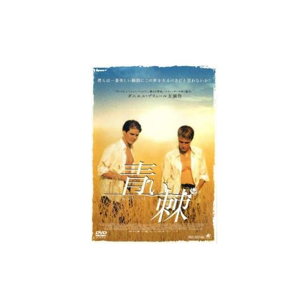 【バーゲン】(監督) アヒム・フォン・ボリエス (出演) ダニエル・ブリュール(パウル・クランツ)、アウグスト・ディール(ギュンター・シェラー)、アンナ・マリア・ミューエ(ヒルデ・シェラー)、トゥーレ・リントハート(ハンス)、ヤナ・パラスケ...