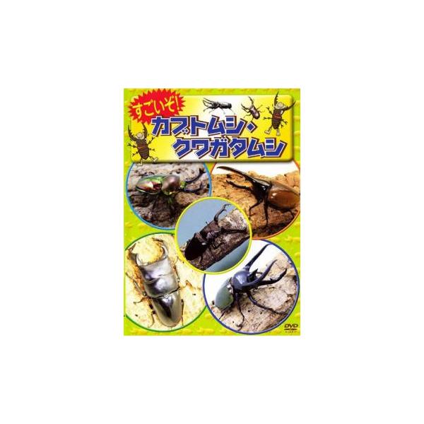 【バーゲン】 (ジャンル) 趣味、実用 子供向け、教育 (入荷日) 2025-06-29