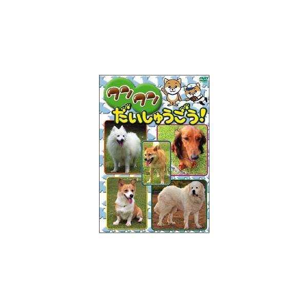 【中古】 ワンワンだいしゅうごう！ [レンタル落ち] [DVD] レンタル落ち 中古 Blue-rayJAN:4988003967017型番:KIBR4432