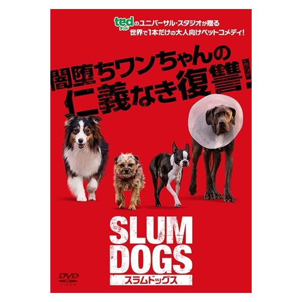【中古】 スラムドッグス [レンタル落ち] [DVD] レンタル落ち 中古 Blue-rayJAN:4550510093468型番:GNBR11491
