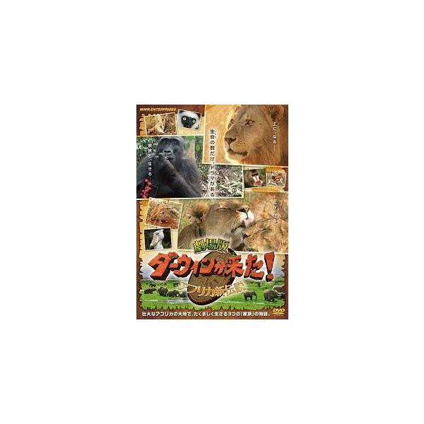 【中古】 劇場版 ダーウィンが来た！ アフリカ新伝説 [レンタル落ち] [DVD] レンタル落ち 中古 Blue-rayJAN:4988066230165型番:NSDR23861