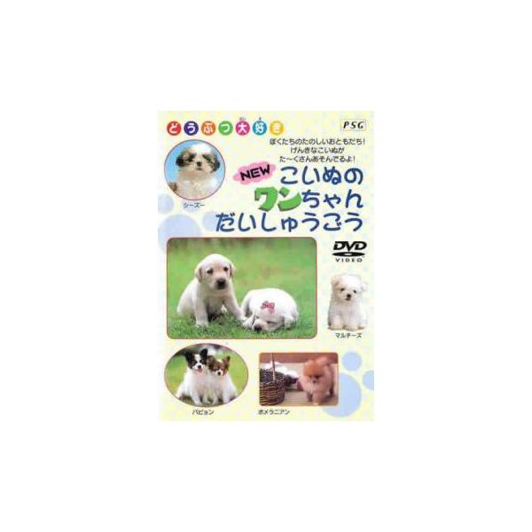 【バーゲン】 (ジャンル) 趣味、実用 子供向け、教育 動物 (入荷日) 2023-10-12