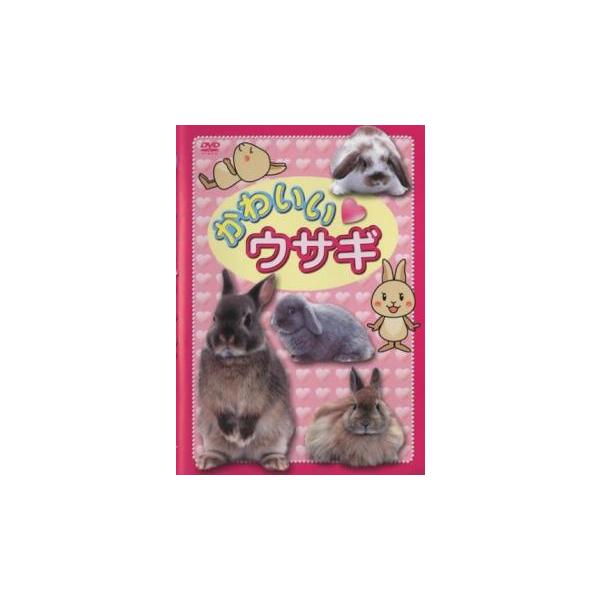 【バーゲン】 (ジャンル) 趣味、実用 子供向け、教育 動物 (入荷日) 2023-10-12