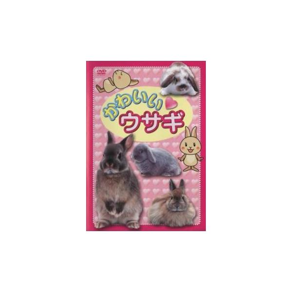 【バーゲン】 (ジャンル) 趣味、実用 動物 子供向け、教育 (入荷日) 2024-07-20