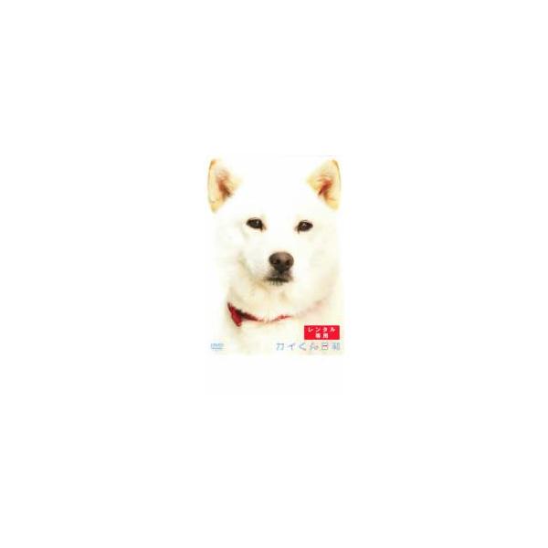 【バーゲン】 (ジャンル) 趣味、実用 ビジネス、教養 動物 (入荷日) 2024-07-13