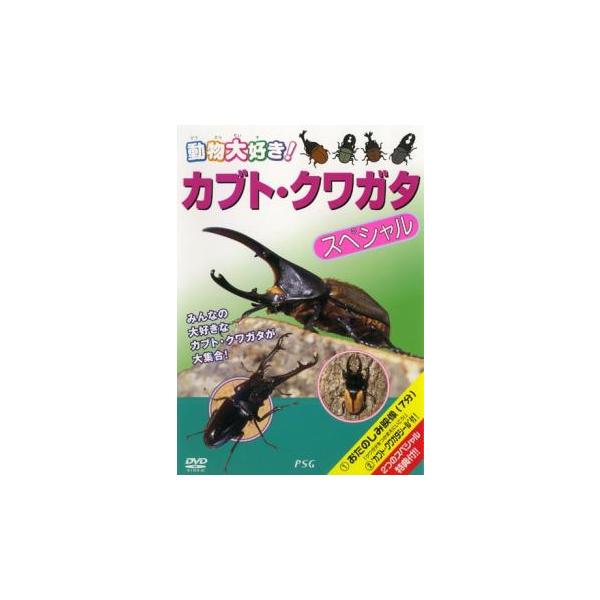 【バーゲン】 (ジャンル) 趣味、実用 動物 (入荷日) 2025-02-26
