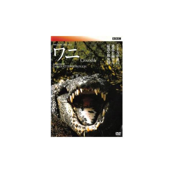 【バーゲン】 (ジャンル) 洋画 ドキュメンタリー 動物 (入荷日) 2024-01-27