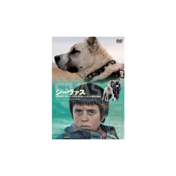 【バーゲン】(監督) カアン・ミュジデジ (出演) ドアン・イズジ(アスラン)、ハサン・オズデミル(ハサン)、フルカン・ウヤル(オスマン)、エジズ・エルギン(アイシェ)、ムッタリップ・ミュジデジ(村長)、オカン・アヴジュ、パーヌ・フォトジャ...