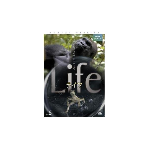 【バーゲン】 (ジャンル) その他、ドキュメンタリー 動物 (入荷日) 2025-02-21