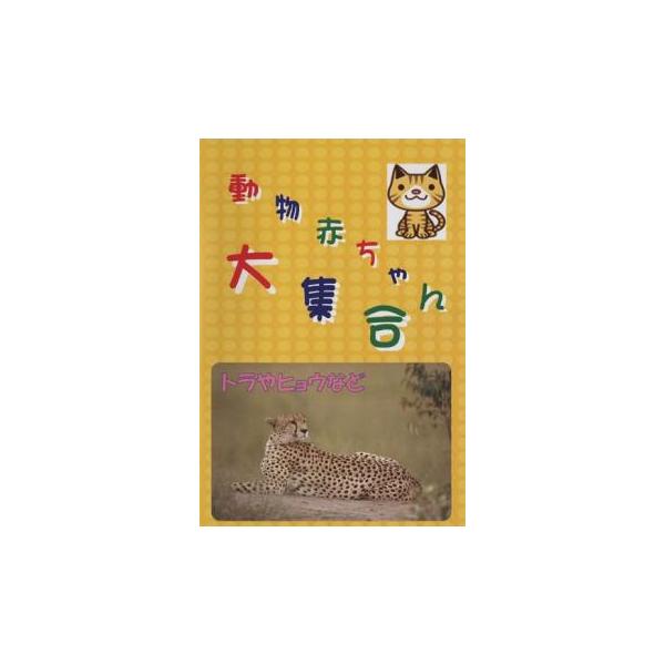 【バーゲン】 (ジャンル) 趣味、実用 子供向け、教育 動物 (入荷日) 2025-08-24