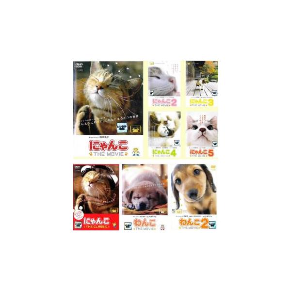 全8巻 【バーゲン】(監督) 松本武 (出演) 篠原涼子 (ジャンル) 邦画 ドキュメンタリー 動物 (入荷日) 2024-09-14