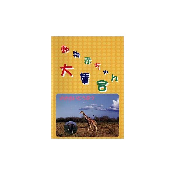 【バーゲン】 (出演) 神園さやか、川原弓奈、川原安子、斉藤ゆり (ジャンル) 趣味、実用 動物 (入荷日) 2025-06-15