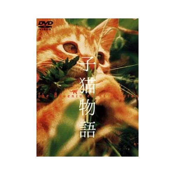 ●【中古】 子猫物語 [レンタル落ち] [DVD] レンタル落ち 中古 DVDJAN:4988632500777型番:PCBC50120
