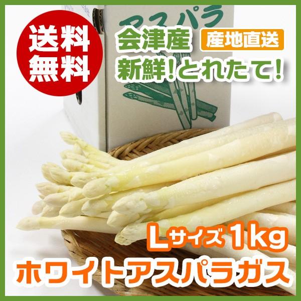 会津産！とれたての新鮮ホワイトアスパラガスを産地から送料無料で直送！※北海道、九州、沖縄は別途送料追加甘みが強く、生でシャキシャキ食べられます。※その日収穫された量のみの出荷になりますので、日にち指定は難しい場合もございます。・商品名：ホワ...